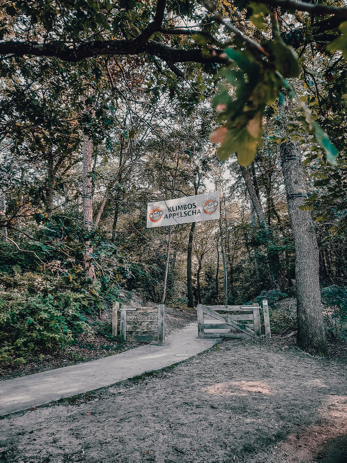 Outdoor in Appelscha: de perfecte uitvalbasis voor buitenactiviteiten ...