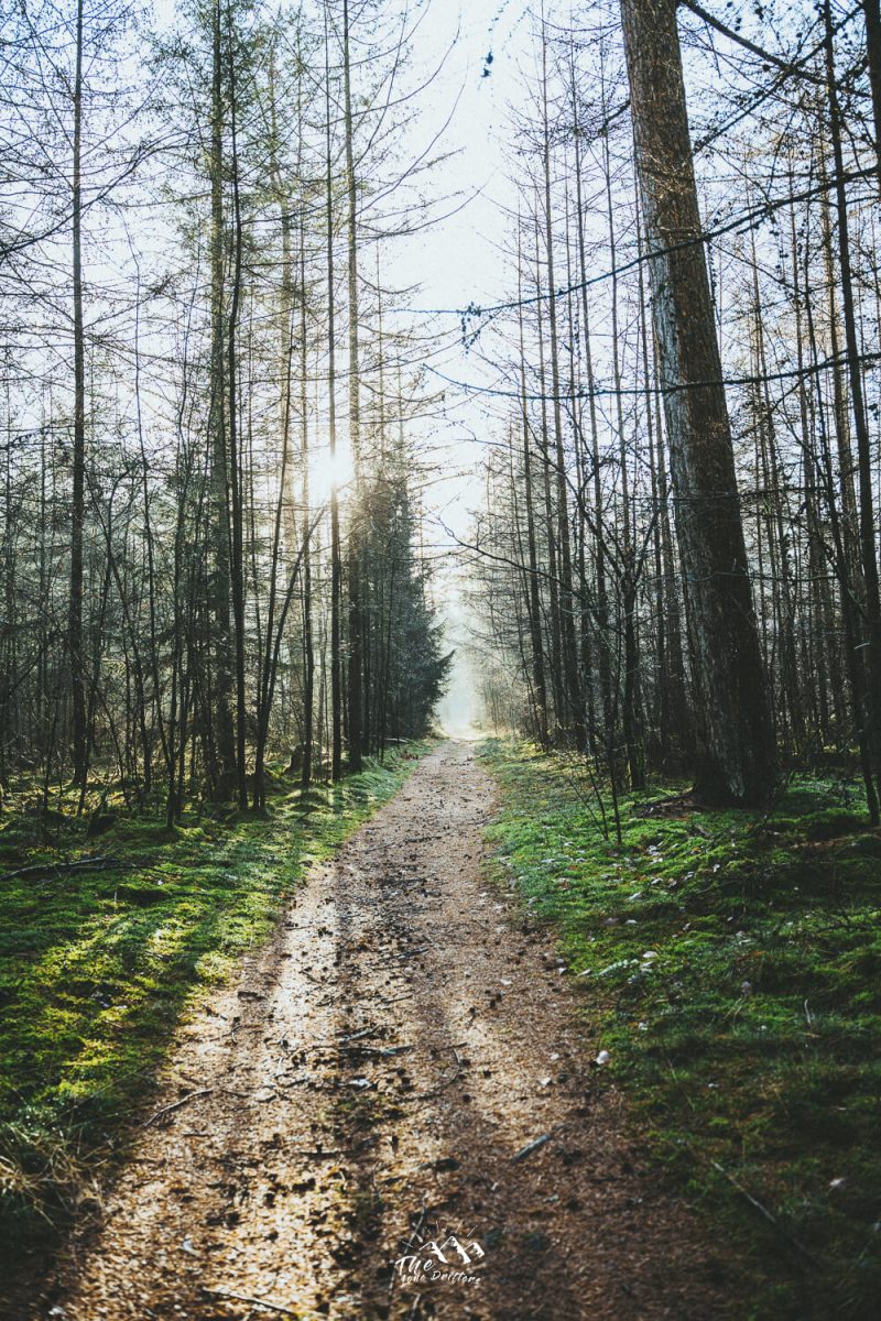 Pieterpad tips: alles wat je wilt weten voor deze iconische wandeltocht ...